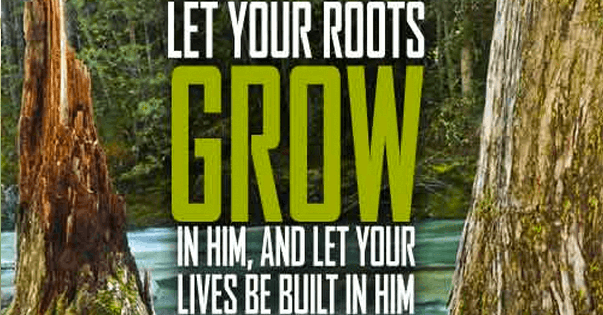 Let your roots grow in Him