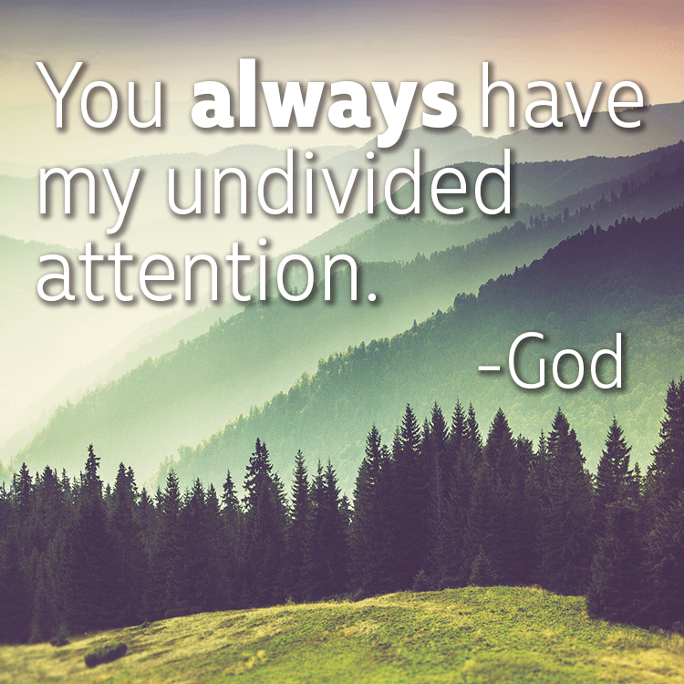 My undivided attention