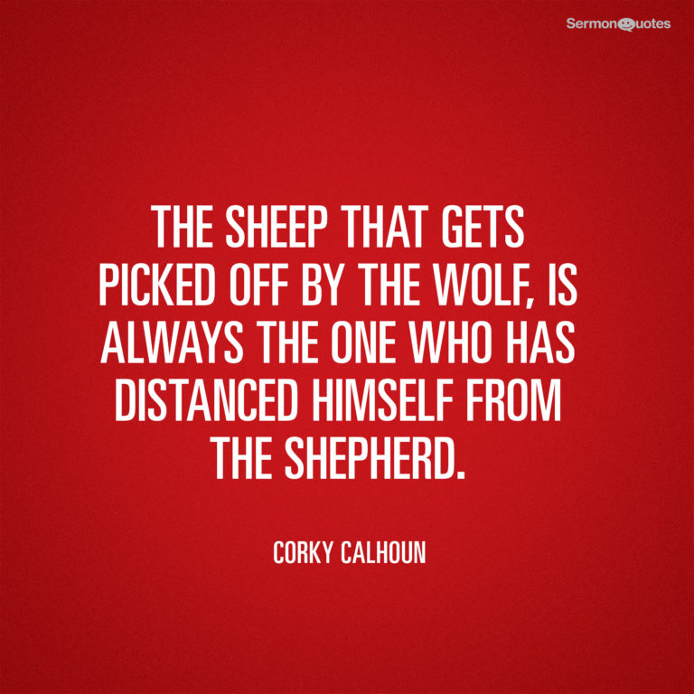 The sheep that gets picked off by the wolf, is always the one who ...